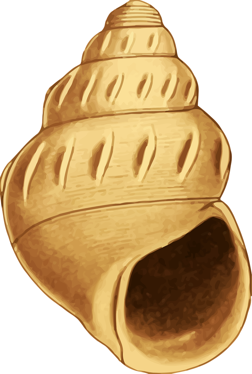 140+ Shell Puns That Are Shore to Crack You Up