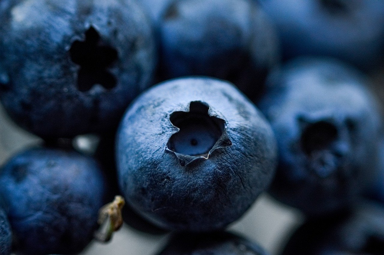 100+ Hilarious Blueberry Puns That Will Make You Laugh Out Loud