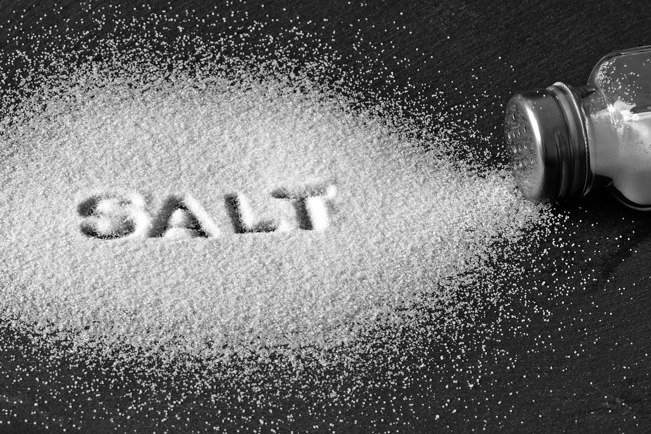 100+ Hilarious Salt Puns That Will Season Your Day with Laughter