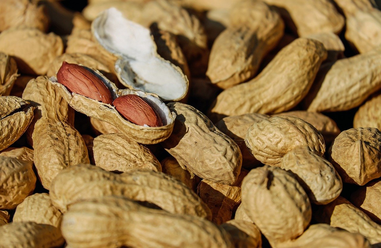 150 Peanut Jokes That Are Totally Nuts!