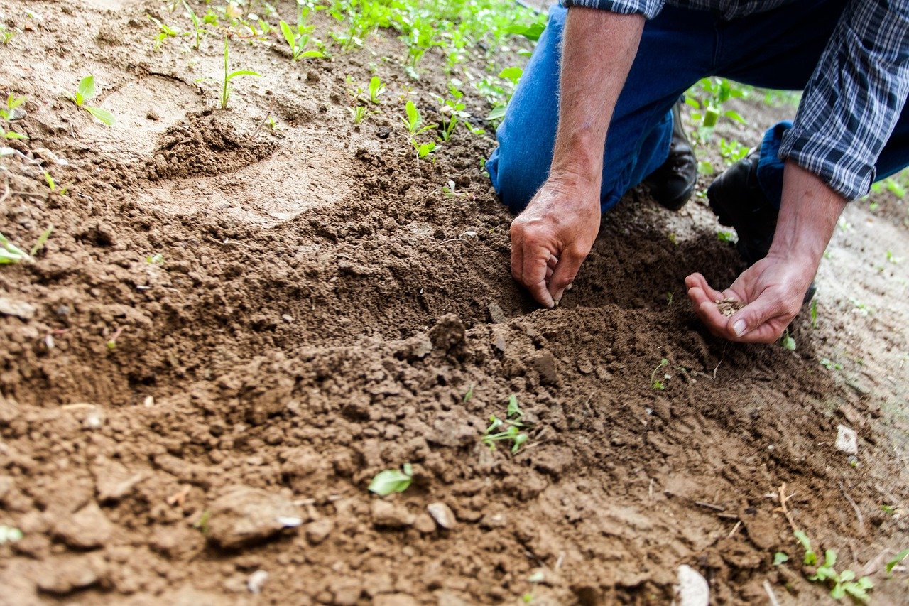 140+ Soil Puns That Will Have You Digging Up Laughs
