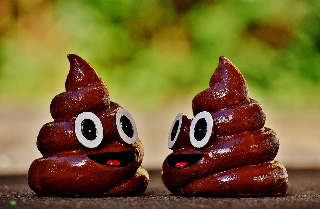 120 Poop Jokes That’ll Leave You Rolling in the Aisles